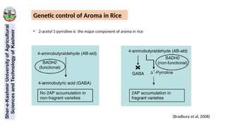 Breeding for Quality Traits in Rice.pptx