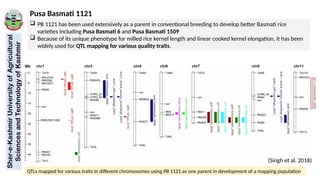 Breeding for Quality Traits in Rice.pptx