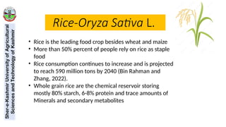 Breeding for Quality Traits in Rice.pptx