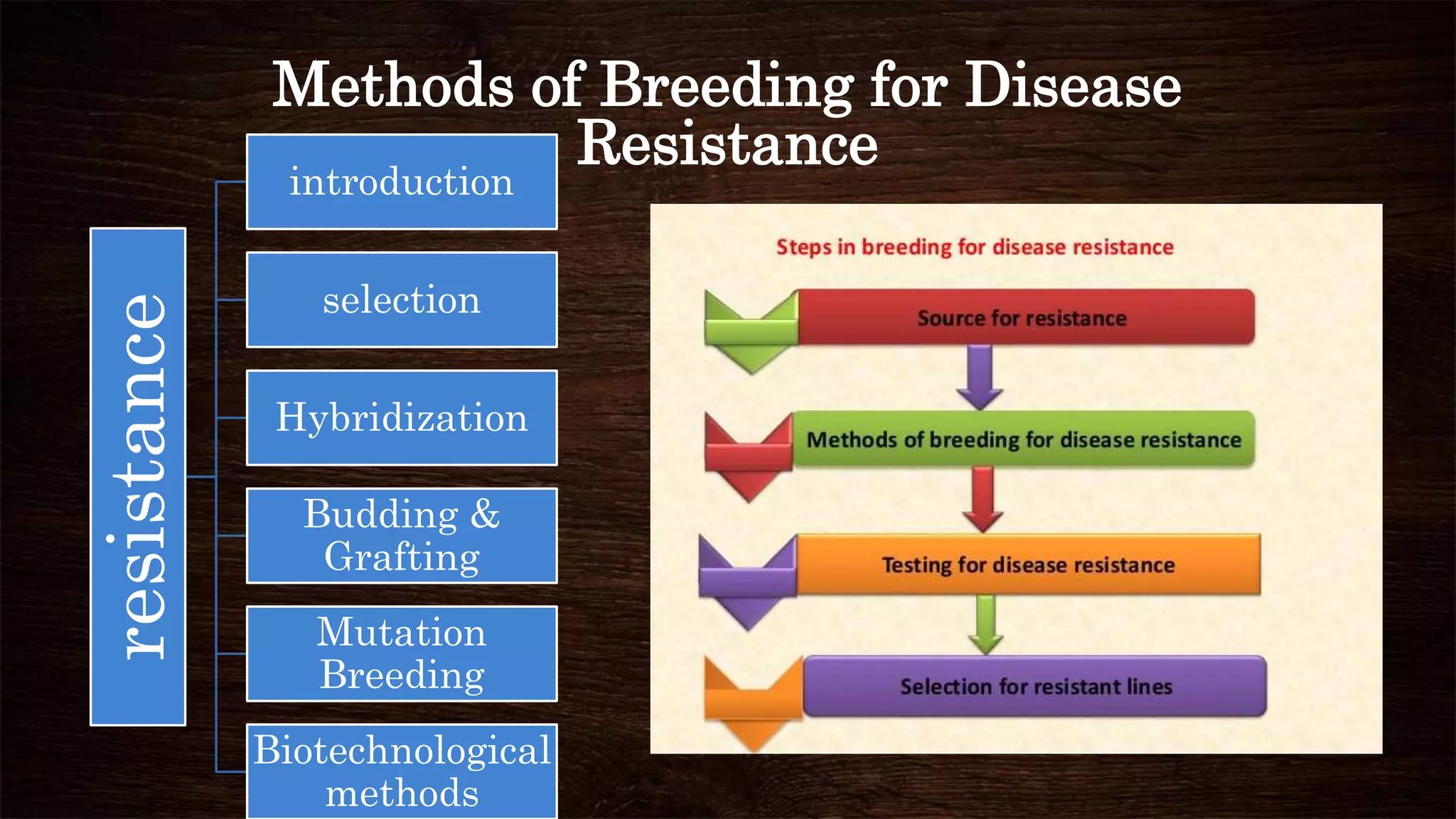 Breeding for resistance to biotic stresses | PPTX