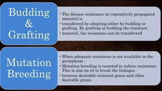Breeding for resistance to biotic stresses | PPTX