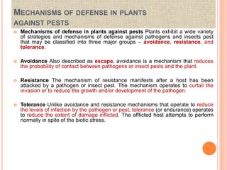 Breeding for resistance to disease and insect pests(biotic stress) | PPTX