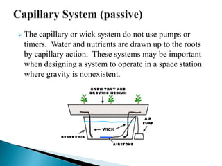 Breeding for salinity tolerance in hydroponic systems of crop plants | PPTX