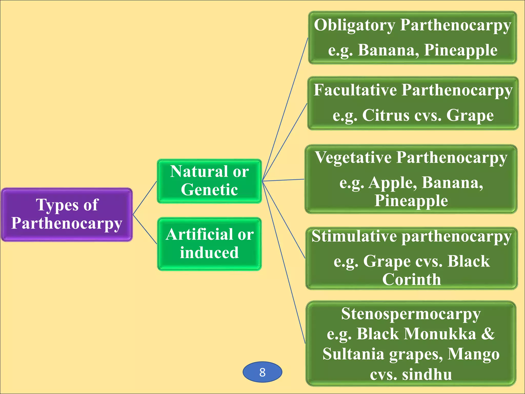 Breeding for seedlessness in fruit crops | PPTX