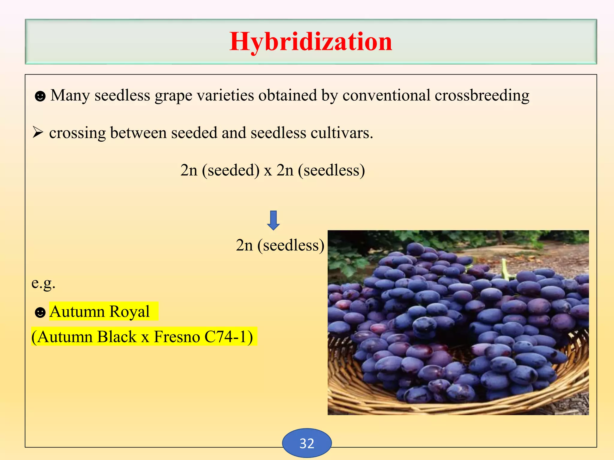 Breeding for seedlessness in fruit crops | PPTX