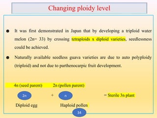 Breeding for seedlessness in fruit crops | PPTX
