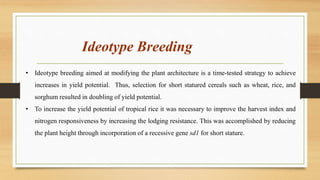 Breeding for yield potential and stress adaptation in rice | PPT