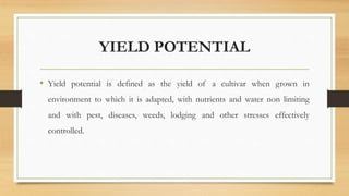 Breeding for yield potential and stress adaptation in rice | PPT | Free ...