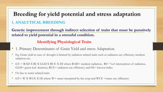 Breeding for yield potential and stress adaptation in rice | PPT