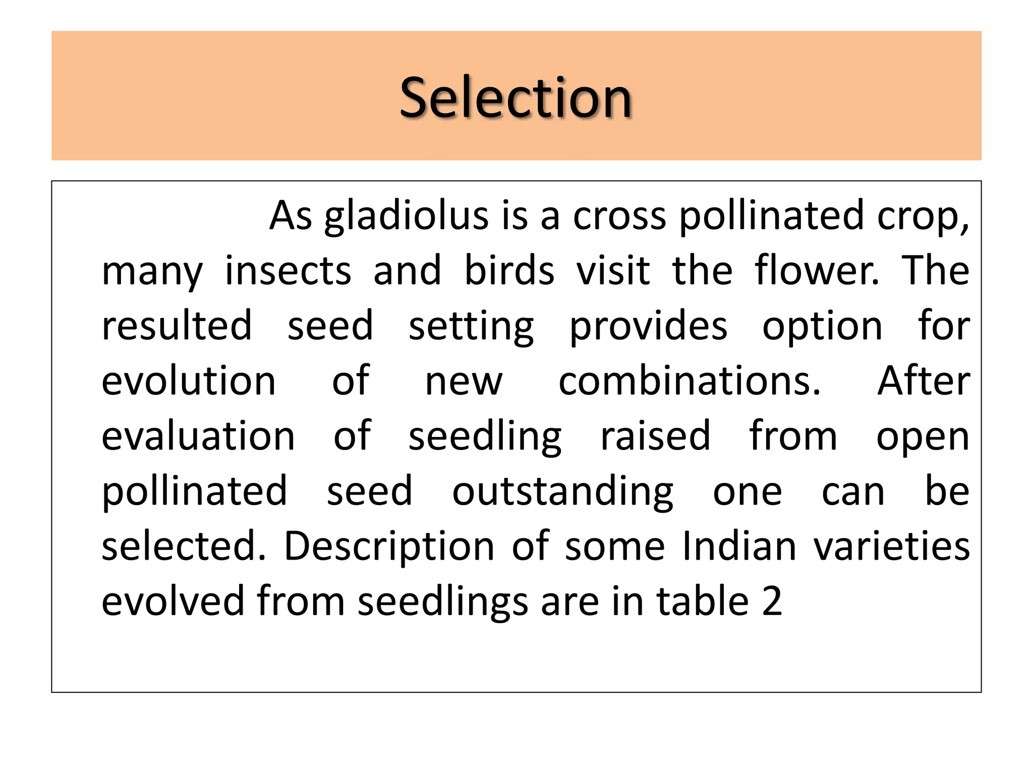 Breeding gladiolus | PPTX