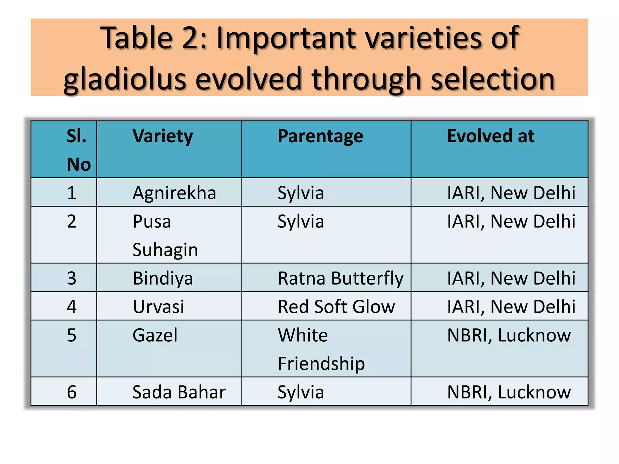 Breeding gladiolus | PPTX