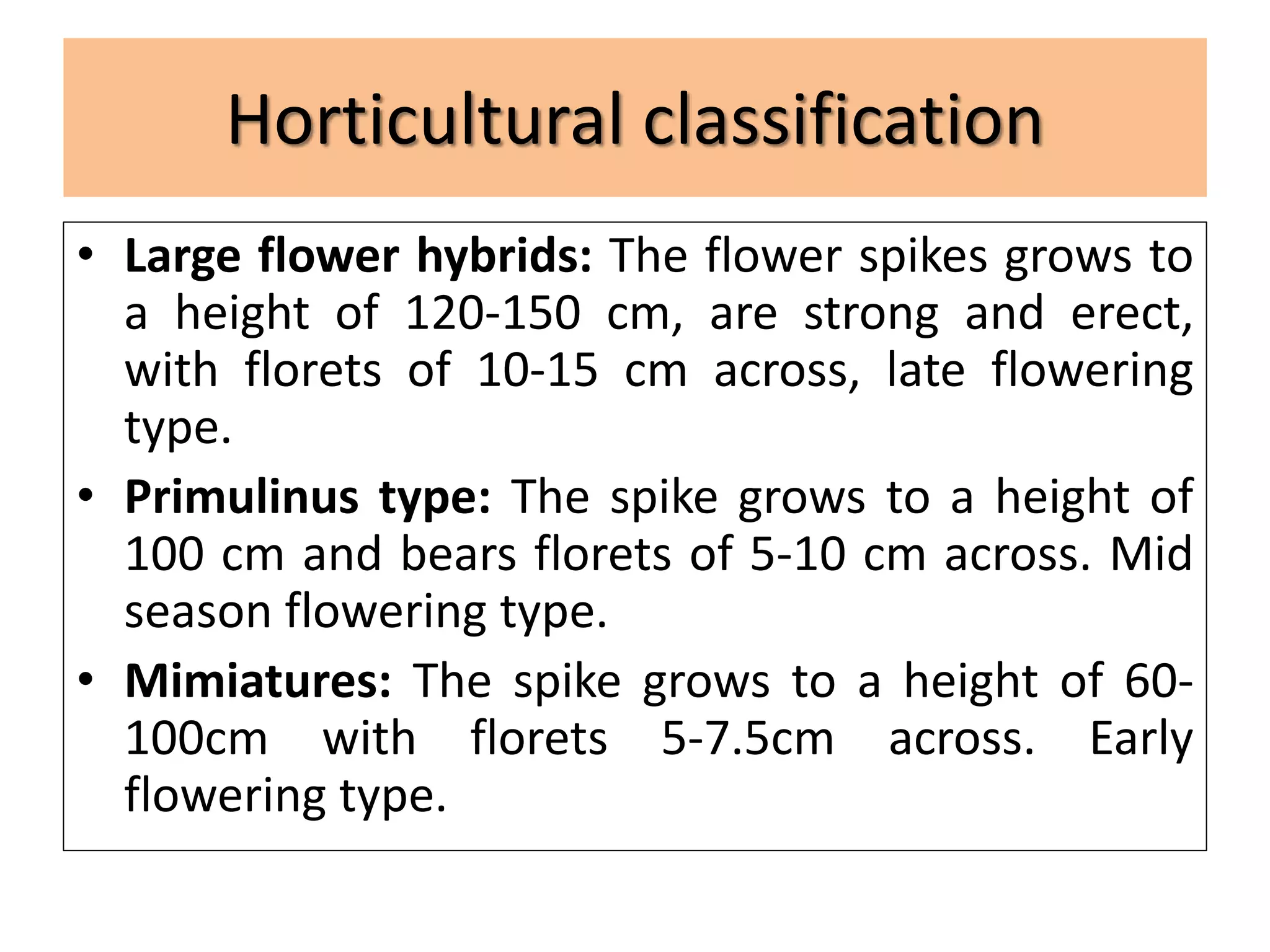 Breeding gladiolus | PPTX