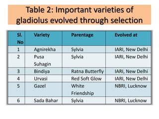 Breeding gladiolus | PPTX