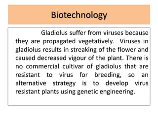 Breeding gladiolus | PPTX
