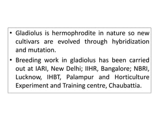 Breeding gladiolus | PPTX
