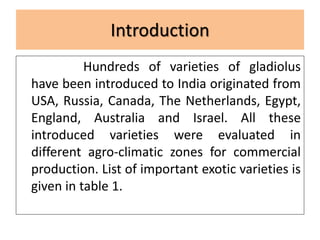 Breeding gladiolus | PPTX