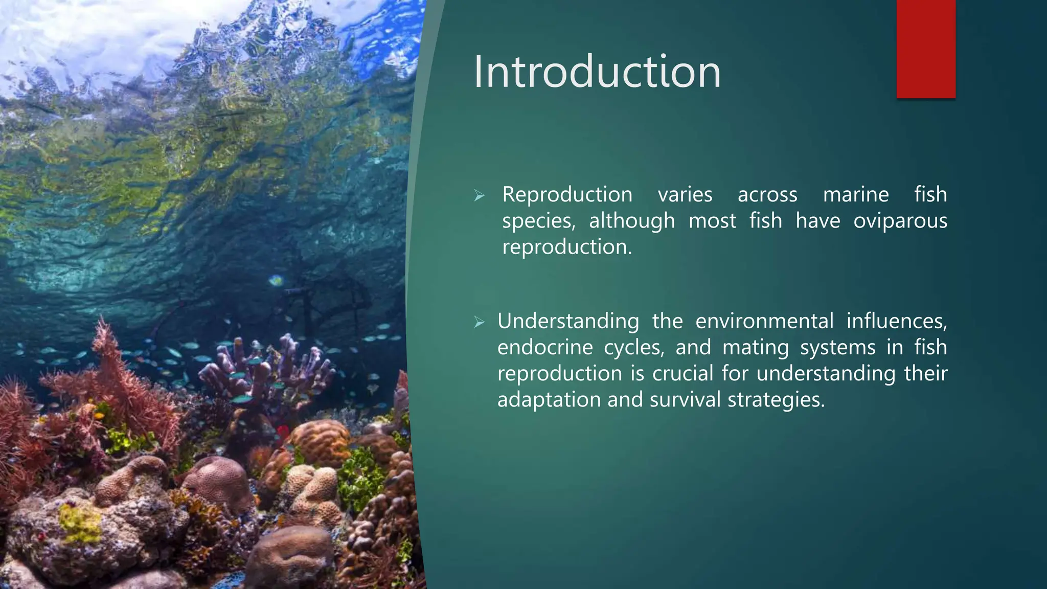 Fish Breeding and Hatchery Assignment 1.pptx