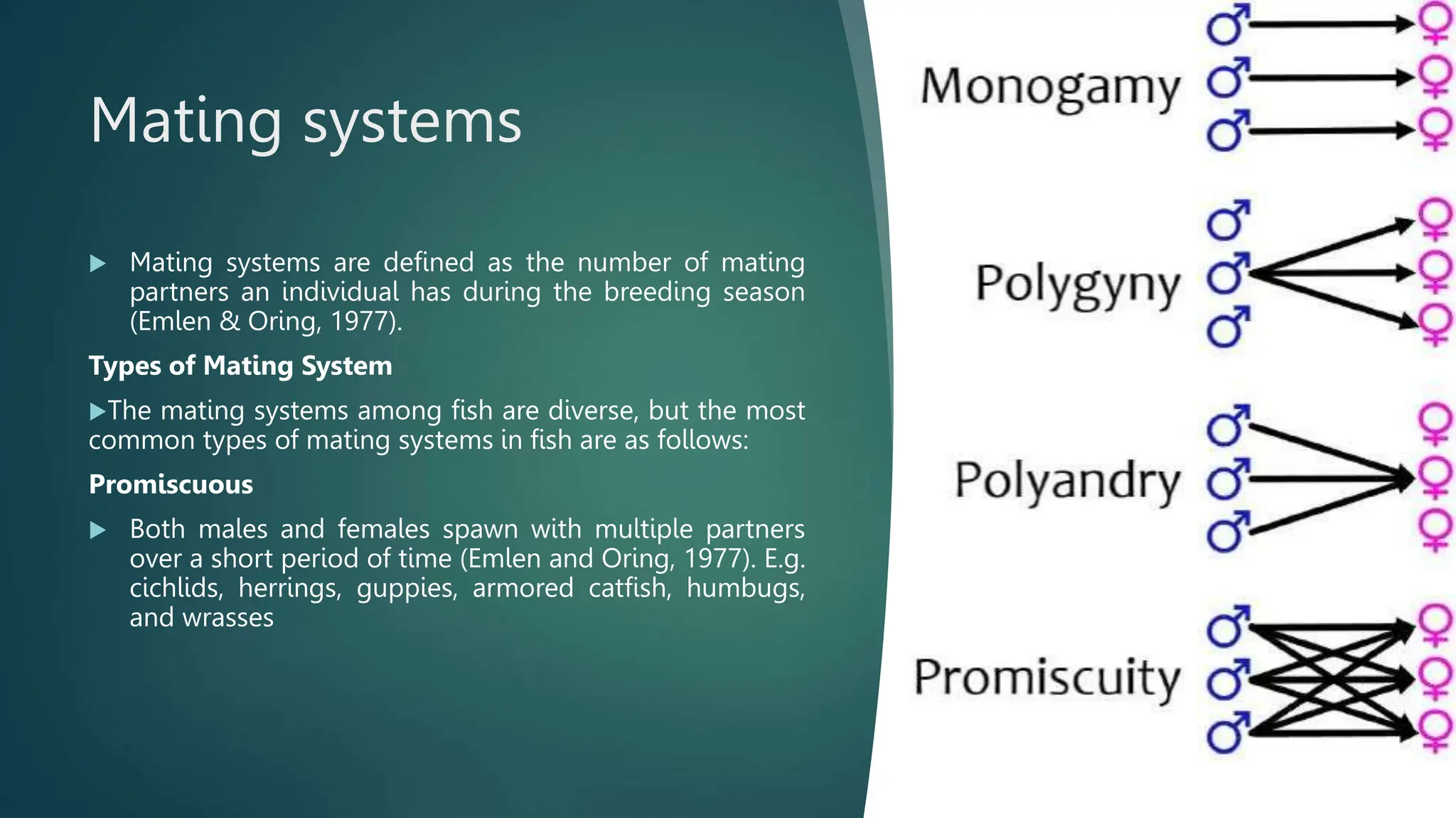 Fish Breeding and Hatchery Assignment 1.pptx