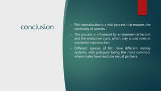 Fish Breeding and Hatchery Assignment 1.pptx