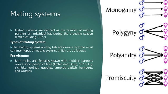 Fish Breeding and Hatchery Assignment 1.pptx | Reproductive Health ...