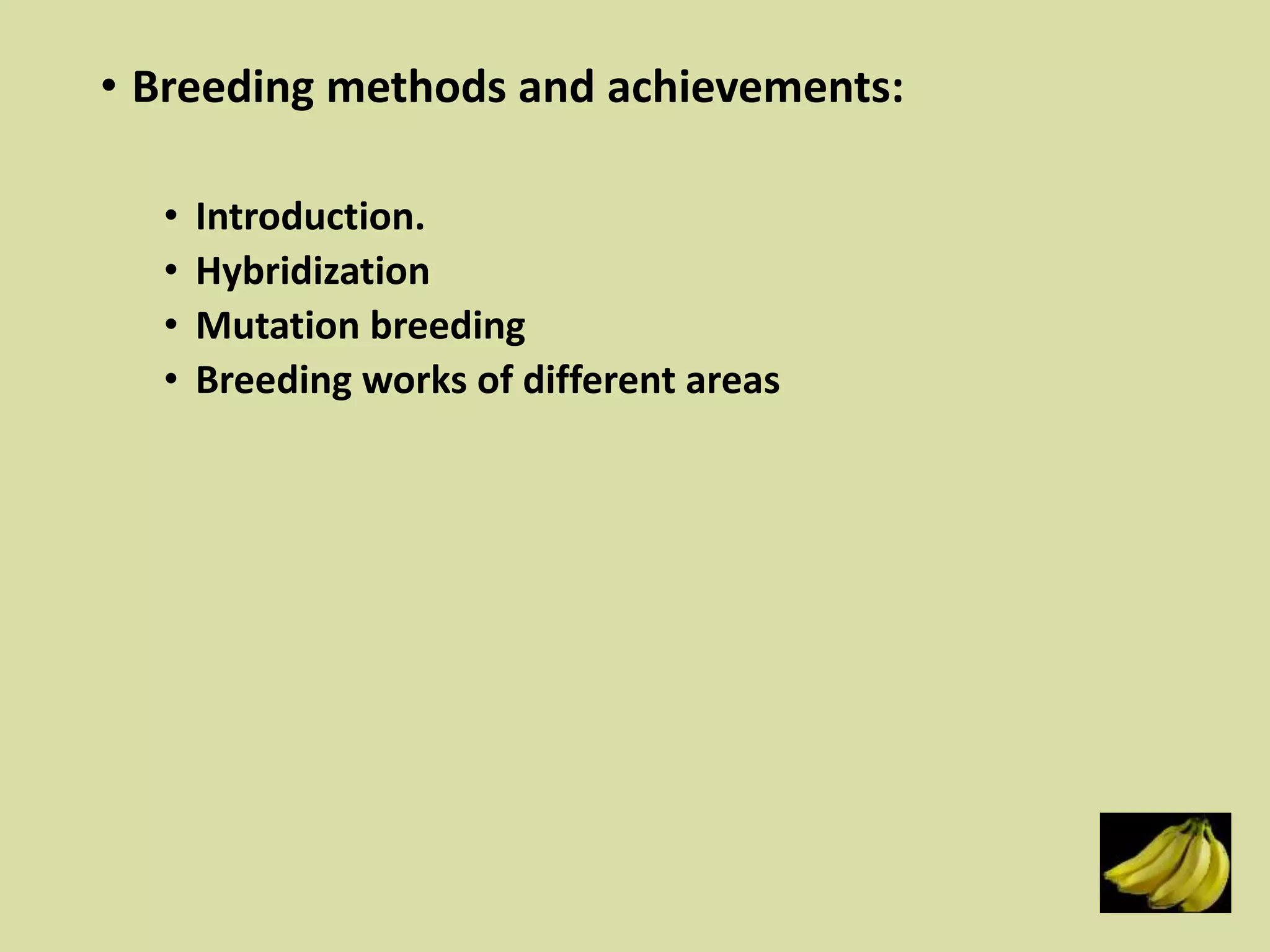 Breeding in banana | PPTX