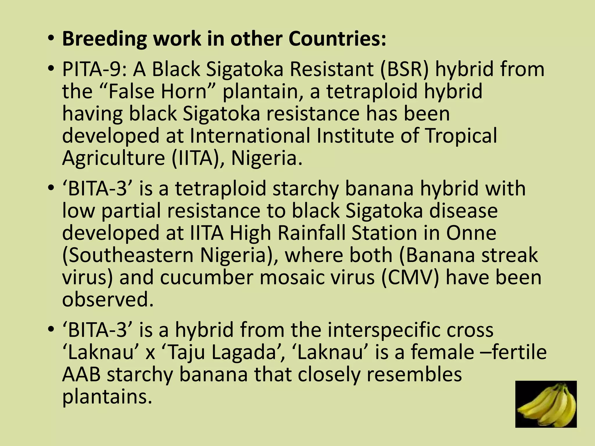 Breeding in banana | PPTX