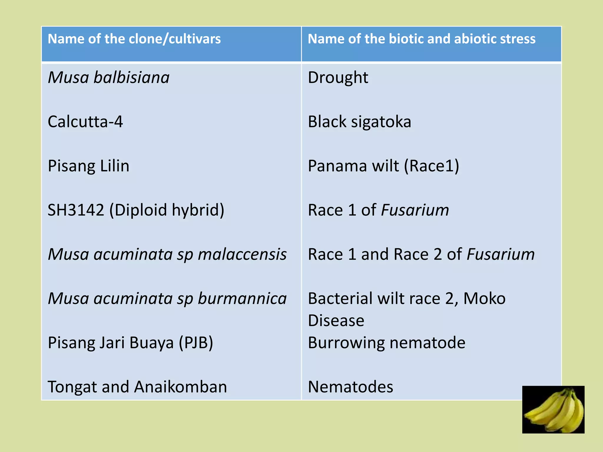 Breeding in banana | PPTX