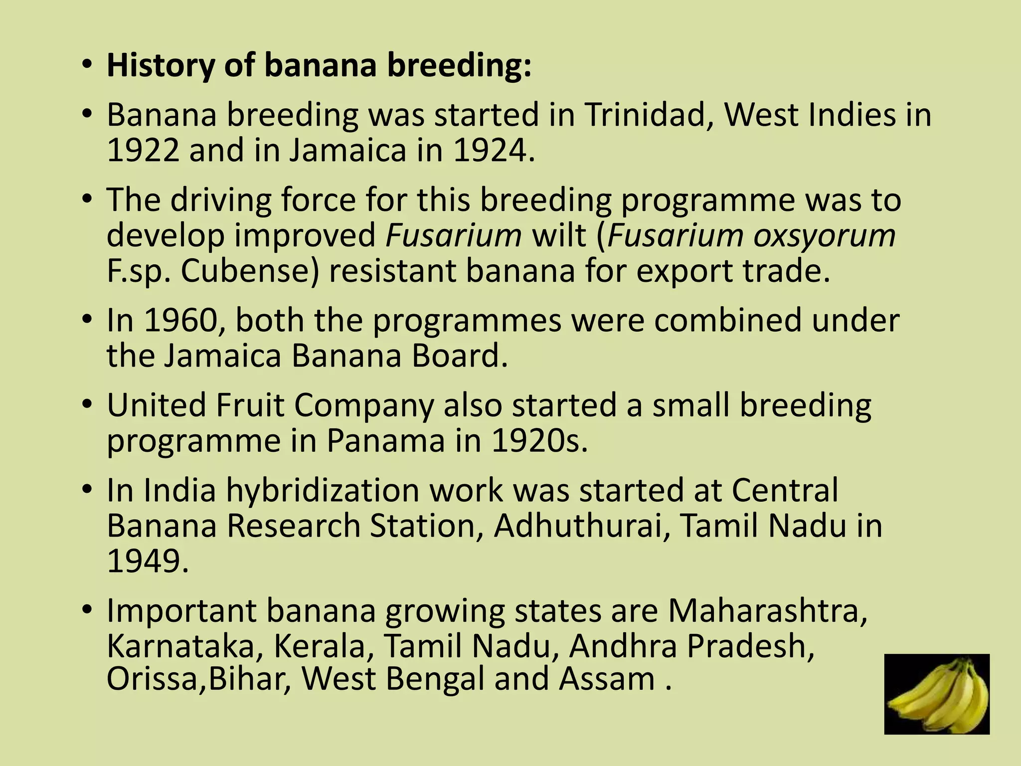 Breeding in banana | PPTX
