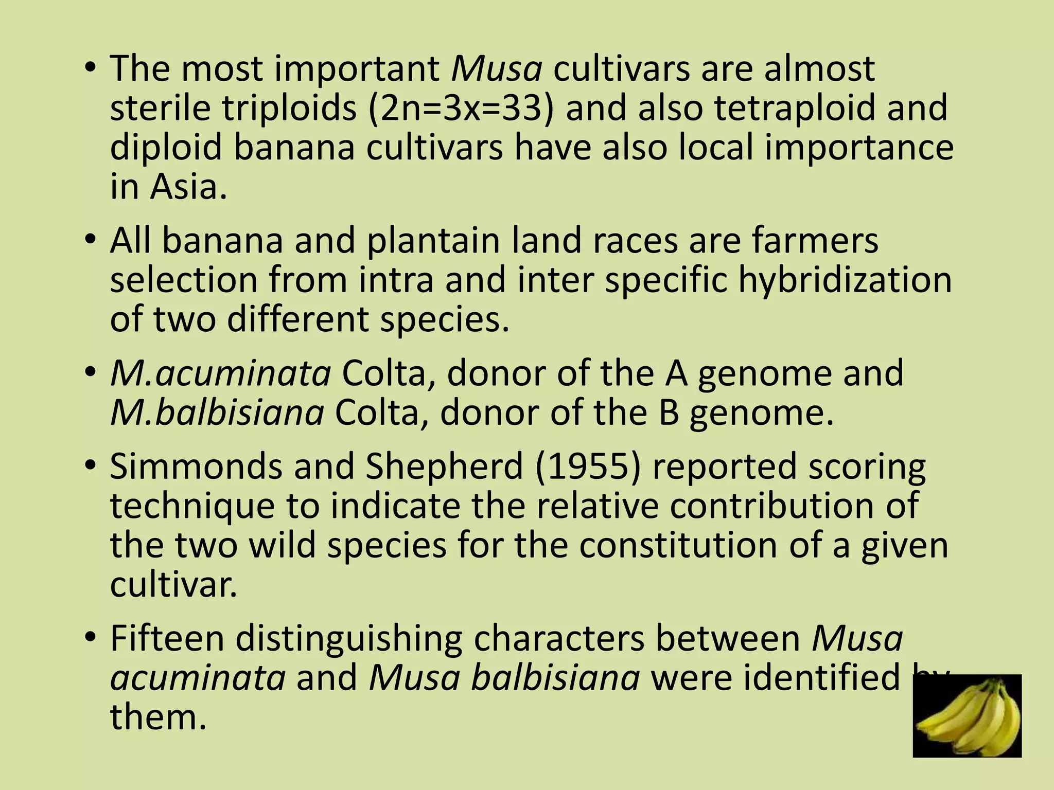 Breeding in banana | PPTX