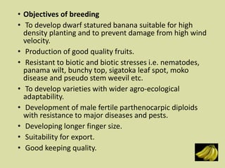 Breeding in banana | PPTX