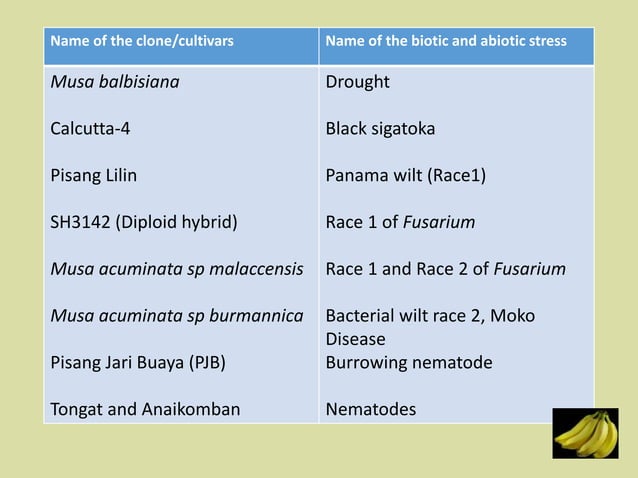 Breeding in banana | PPTX | Gardening | Home & Garden