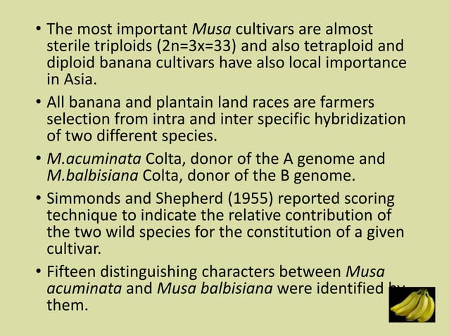 Breeding in banana | PPTX | Gardening | Home & Garden