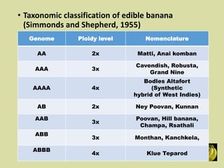 Breeding in banana | PPTX
