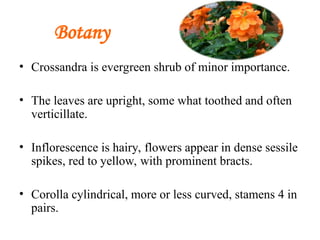 Breeding in Crossandra - Gagandeep PAU.ppt