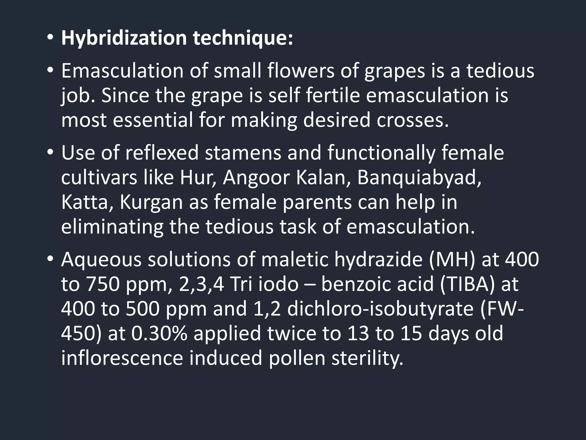 Breeding in grapes | PPTX