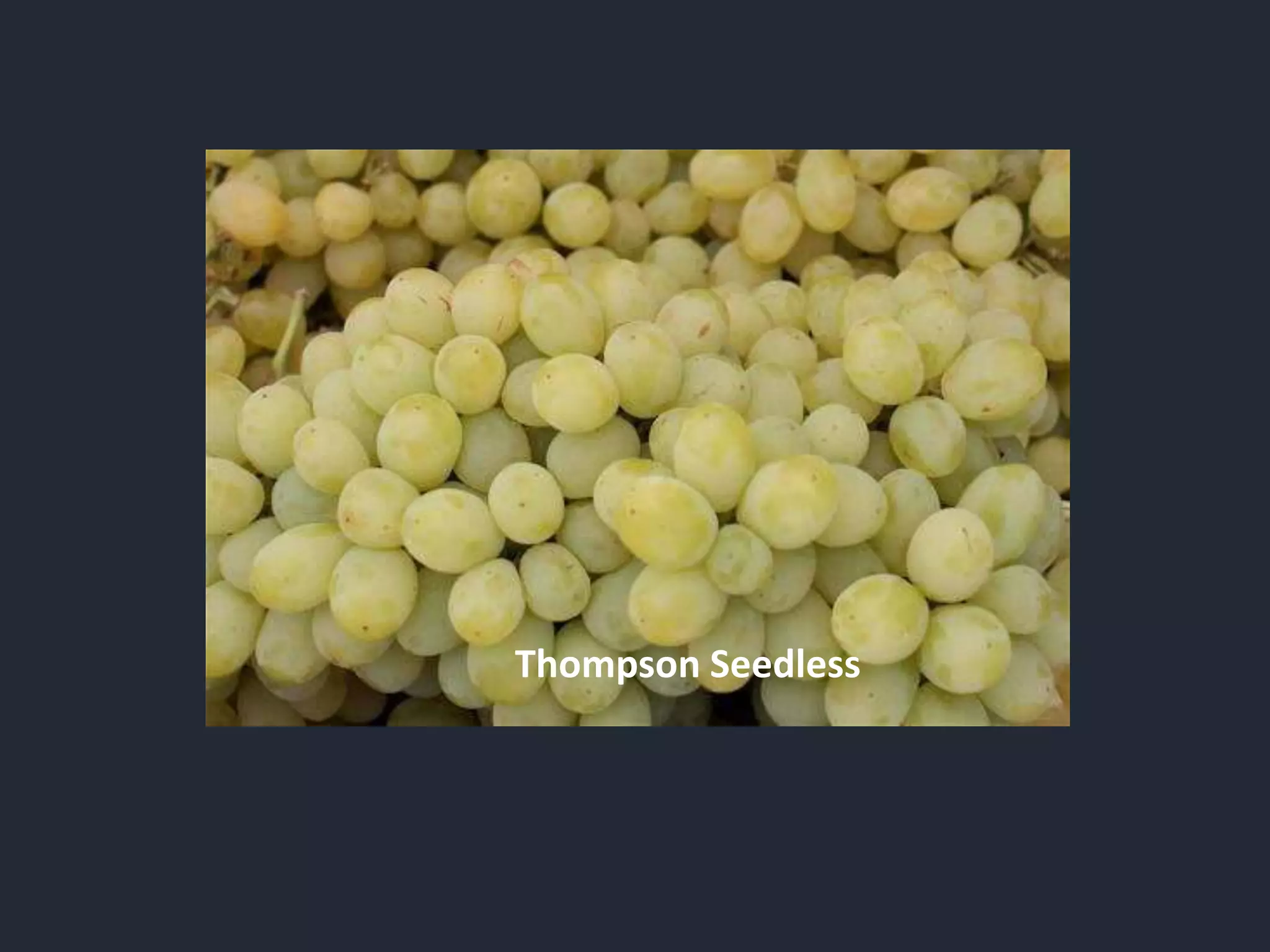 Breeding in grapes | PPTX