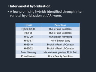 Breeding in grapes | PPTX
