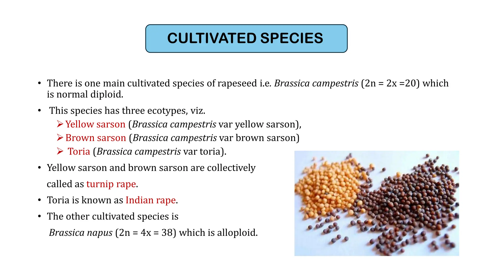Rapeseed breeding objectives and methods.pdf