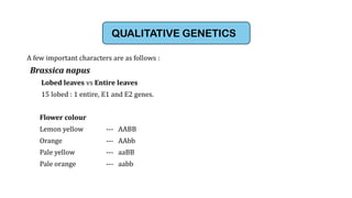Rapeseed breeding objectives and methods.pdf