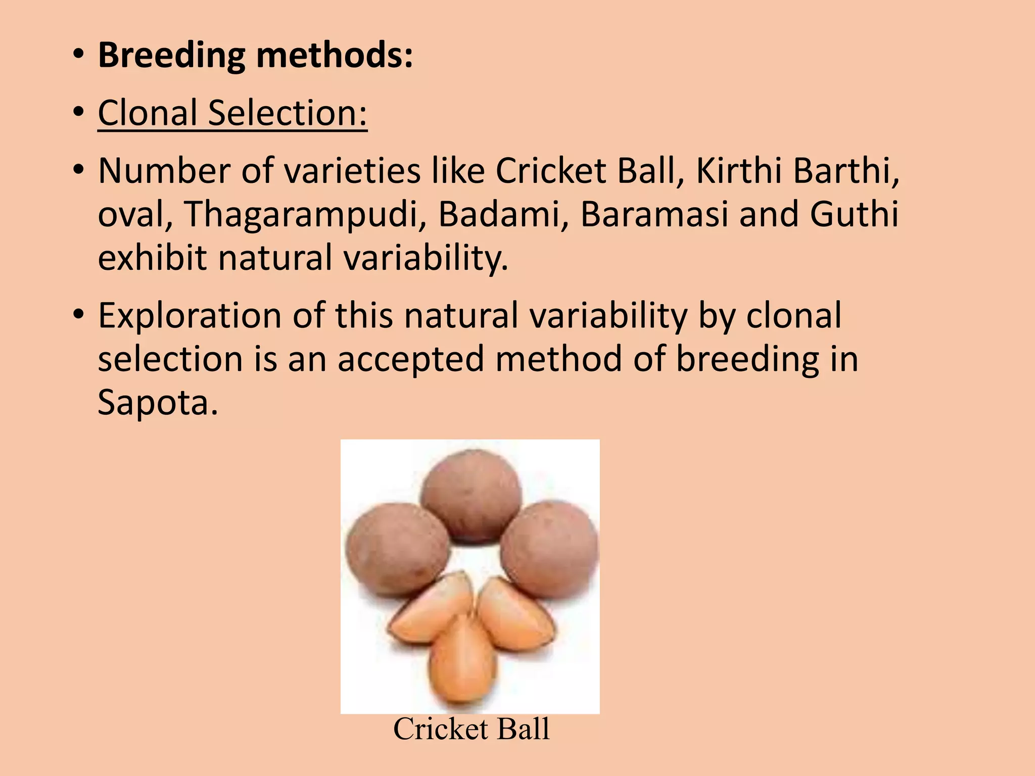 Breeding in sapota | PPTX