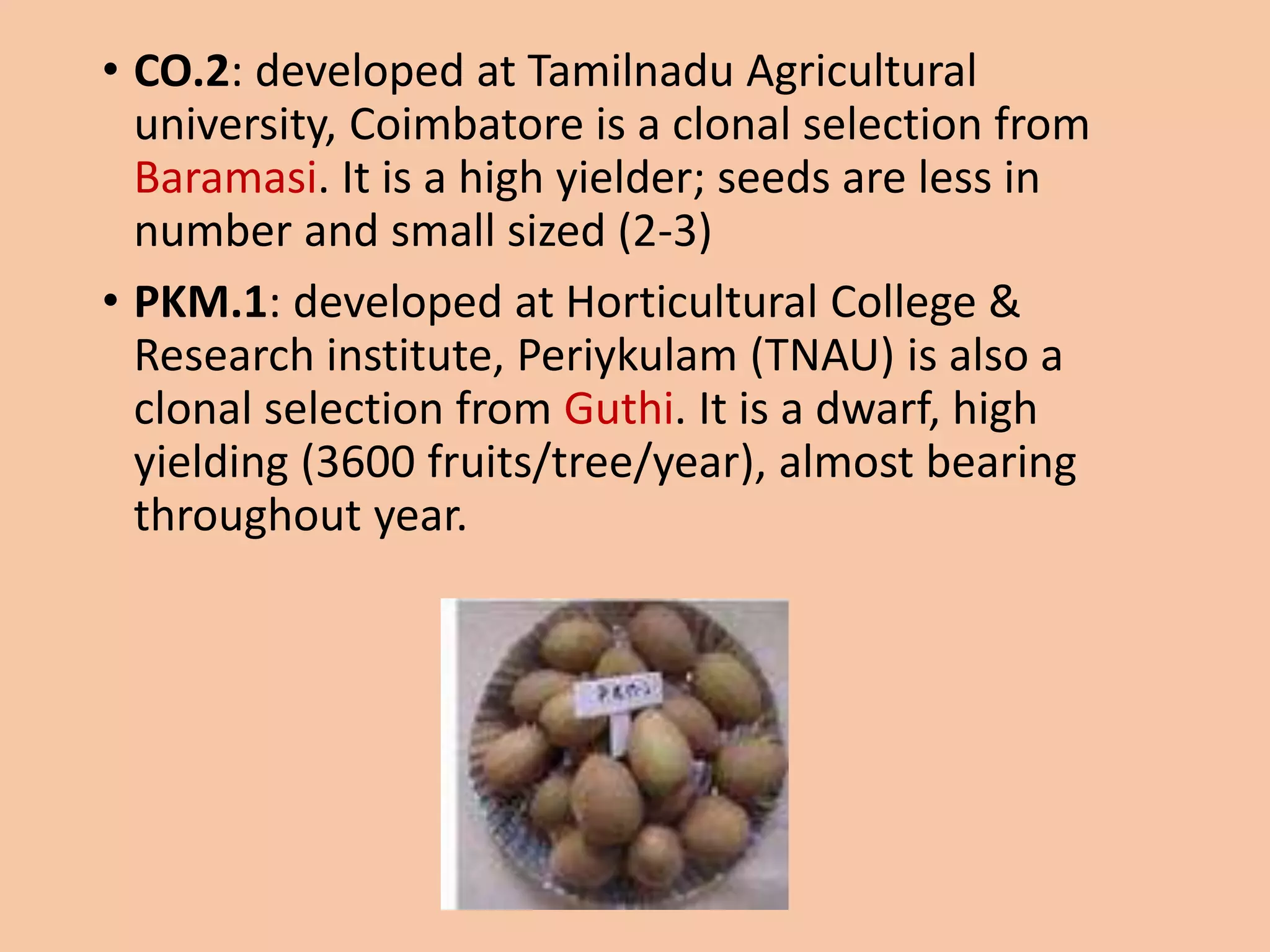 Breeding in sapota | PPTX