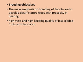 Breeding in sapota | PPTX