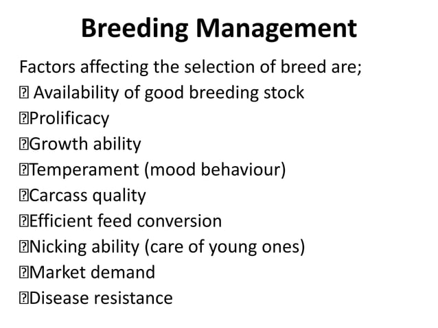 Breeding Management Swine Pptx