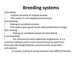 Breeding management - Swine | PPTX