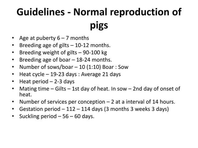 Breeding management - Swine | PPTX