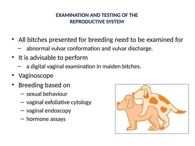 Breeding management, mis-mating in bitches.pptx