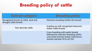 Cow breeding management of cattle 1.pptx
