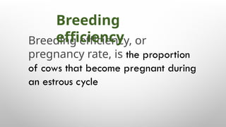 Cow breeding management of cattle 1.pptx