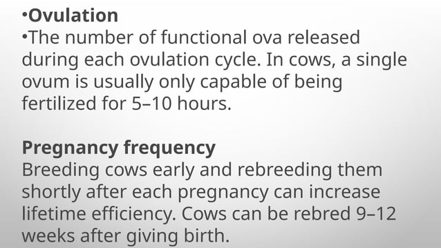 Cow breeding management of cattle 1.pptx