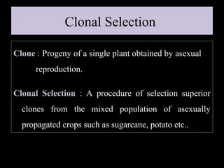 Breeding method for clonal propagation crops, apomixis and clonal ...